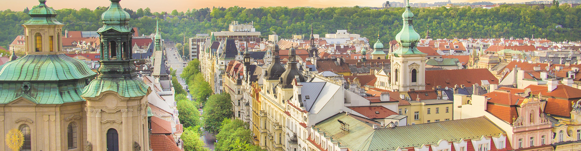 One year English course at ČZU - Study in the Czech Republic