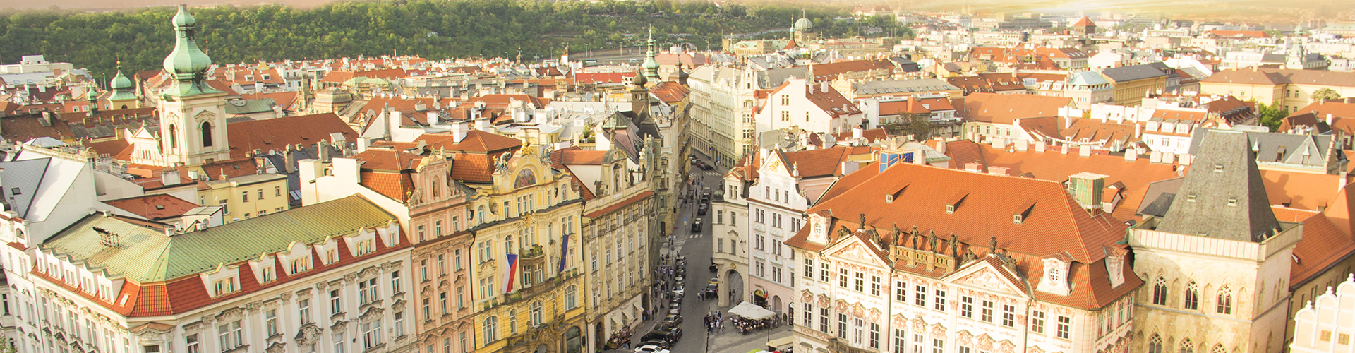 One year English course + preparation for medical universities in the ...